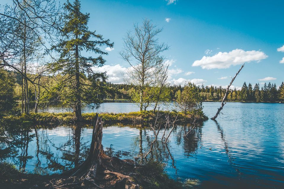 Die Einsamkeit der Moore – Kladska im Kaiserwald (3/4) - theBackpacker.de