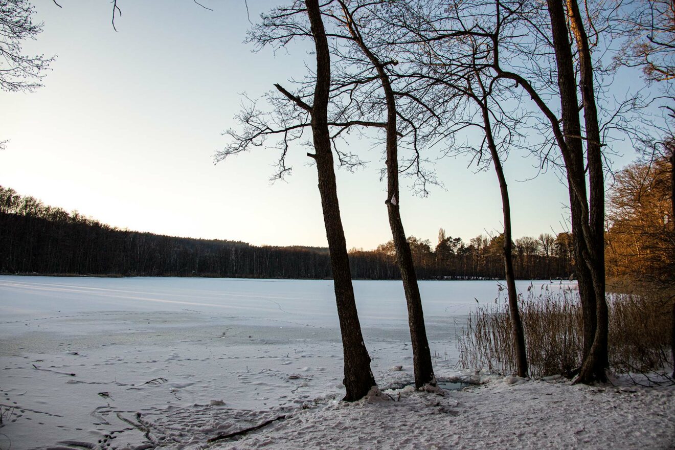 Rund um den Schermützelsee in Buckow - theBackpacker.de